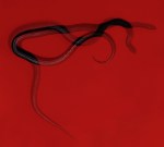 Pilot Snake – Piper Olivas